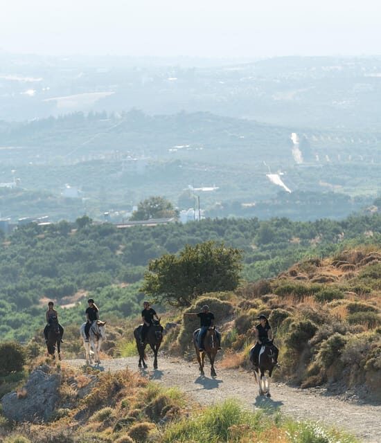 Crete: Plakias Panorama Horse Riding Trip - What to Expect During the Ride