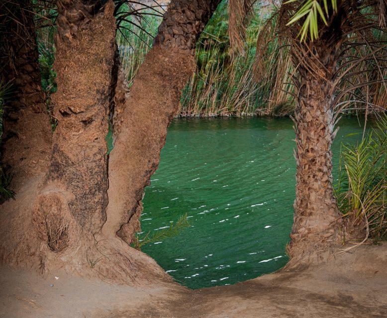 Crete: Preveli Tropical Beach and Palm Forest - An In-Depth Look at the Tour Experience