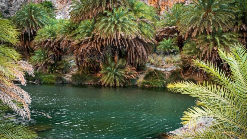 Crete: Preveli Tropical Beach - An Introduction to the Tour