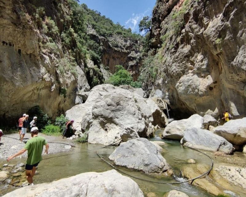 Crete: Private Full-Day Tour - Authentic Experiences and Insights from Reviewers