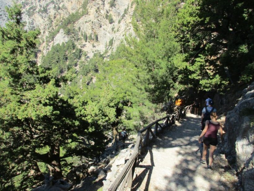 Crete: Private Guided Trek to Samaria Gorge with Transfer - Who Should Consider This Tour?