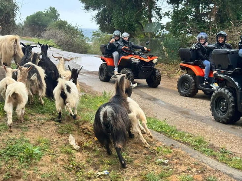 Crete: Quad Safari with Ghost Town Exploration - Key Points