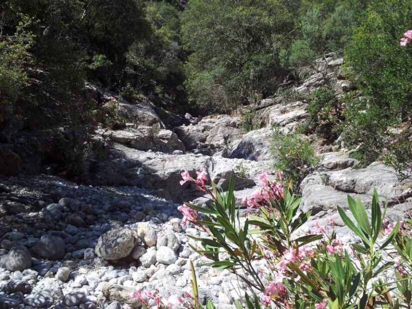 Crete: Richtis Waterfall Full-Day Tour with Olive Tasting - Who Will Love This Tour?