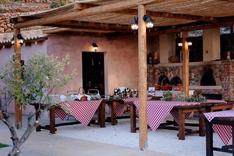 Crete: Road-trip to Lasithi Plateau & Olive Mill Farm - An In-Depth Look at the Lasithi Plateau Road Trip
