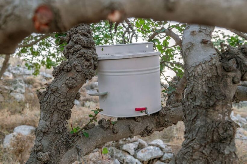 Crete Rodakino: Sleep under the stars - Key Points