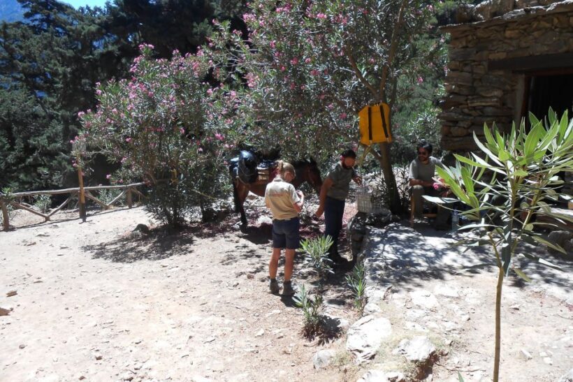 Crete: Samaria Gorge Hiking with transfer and expert Escort - Who Should Consider This Tour?