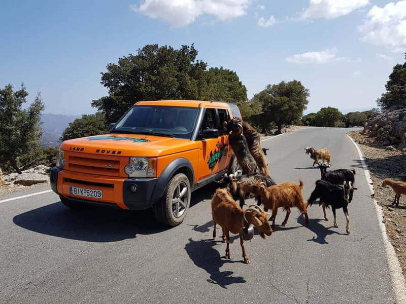 Crete: Sarakina Gorge, Forests, and South Coast Safari - Key Points