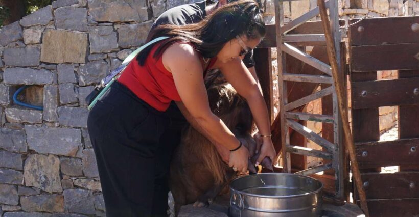 Crete: Shepherds Life & Psiloritis Mountain Tour with Meal - Authentic Experiences That Deliver