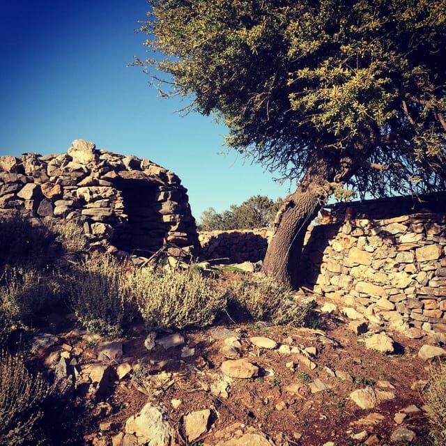 Crete: White Mountains Preserve Day Tour - An In-Depth Look at the White Mountains Experience