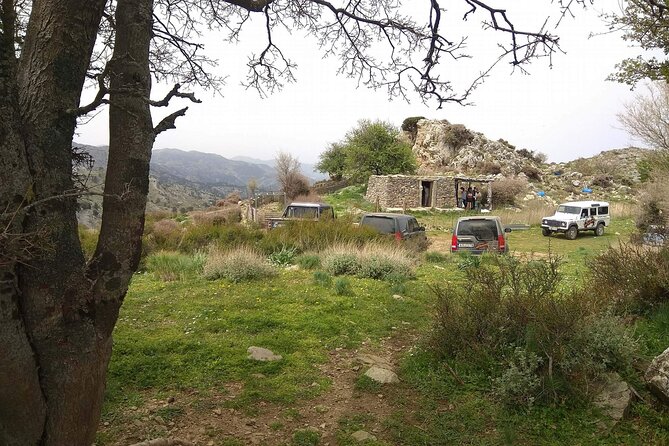 Crete White Mountains Safari Including Lunch - Customer Feedback