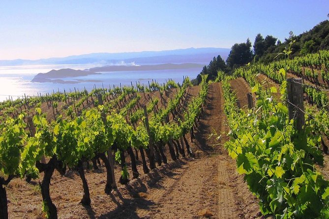 Crete Wine & Olive Oil Tour - FAQ