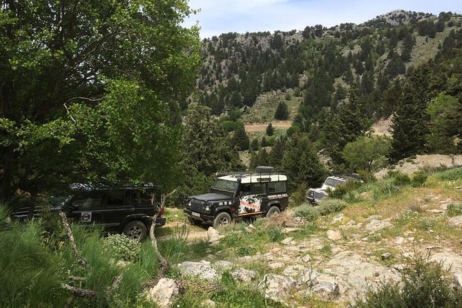 Cretes Wine and Olives Safari Tour From Chania - Traditional Knife Making Demonstration