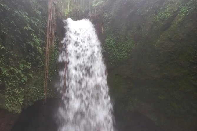 CRETYA Ubud infinity Pool + Hidden Water fall + Water Temple Tour - Mas Carving Center and Art Villages