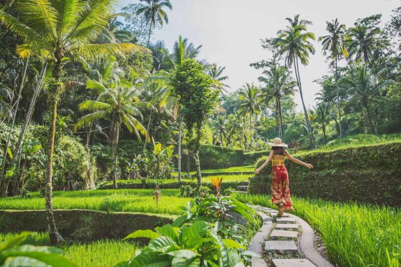 Cretya Ubud, Rice Terrace, Temple & Waterfall Day Tour - Third Stop: Goa Raja Waterfall