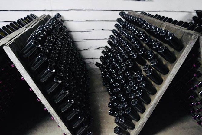 Cricova & Milestii Mici Wineries - The Immense Wine Collection at Milestii Mici