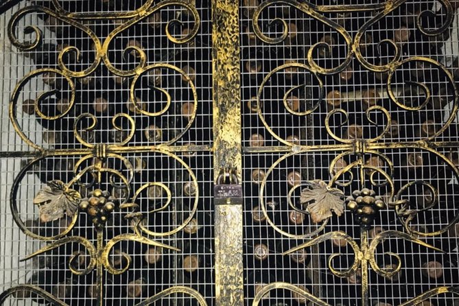 Cricova & Milestii Mici Wineries - What to Expect During the Wine Tasting Tour