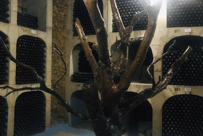 Cricova & Milestii Mici Wineries - Highlighting Our Noteworthy Tour Guides: Mtvarisa and Viktor