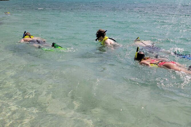 Cristal Speed boat, Snorkeling, Beach Tour & Lunch St Maarten - The Practicalities: Price, Duration, and Group Size