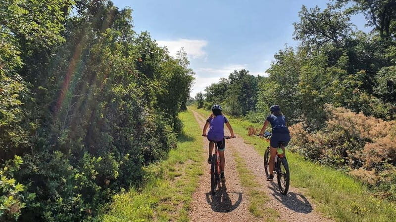 Croatia, Istria: 7-Day Premium Cycling & Gourmet E-Bike Tour - A Closer Look: What to Expect from the Tour