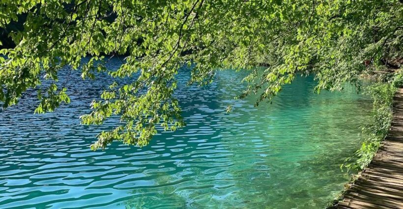 Croatia: Plitvice Lakes Private Tour with Hotel Pickup - Authentic Experiences and Real Feedback