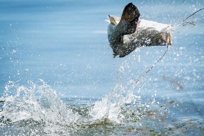 Croc Country Safaris - Final Thoughts: Who Will Love This Tour?