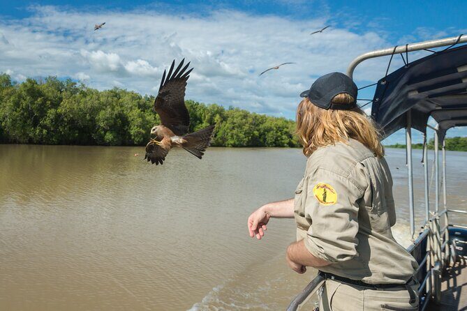 Crocodile Jumping Boat Cruise with Transfer from Darwin - The Value and Practicality