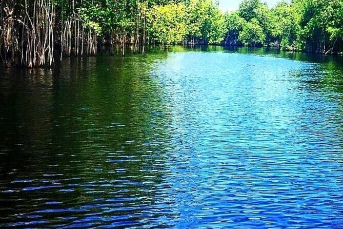 Crocodile Safari/Pelican Bar Combo. - Practical Details