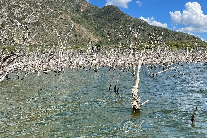 Crocodile Watching in Lago Enrriquillo, ALL INCLUSIVE - The Complete Experience: What You Can Expect