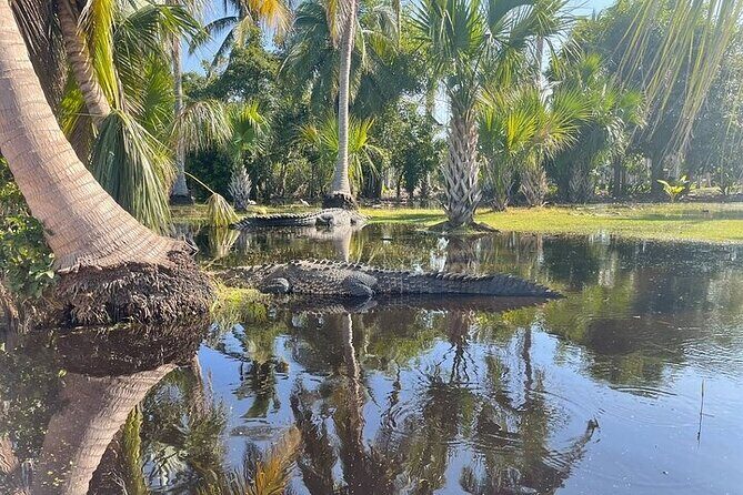 Crocodiles and Turtles Ecological Tour - FAQ