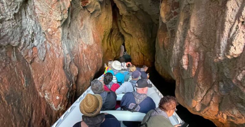 Croisière Calanques de Piana - Baignade bateau 12 places - Who Should Book This Tour?