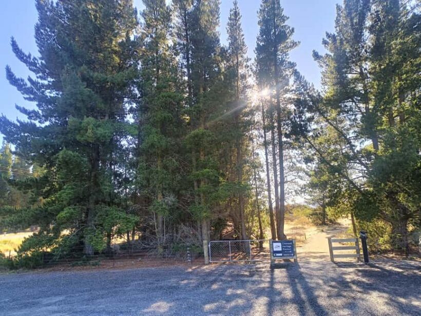 Cromwell: Lake Dunstan Trail Bike Rental and Luxury Shuttle - The Value of the Experience