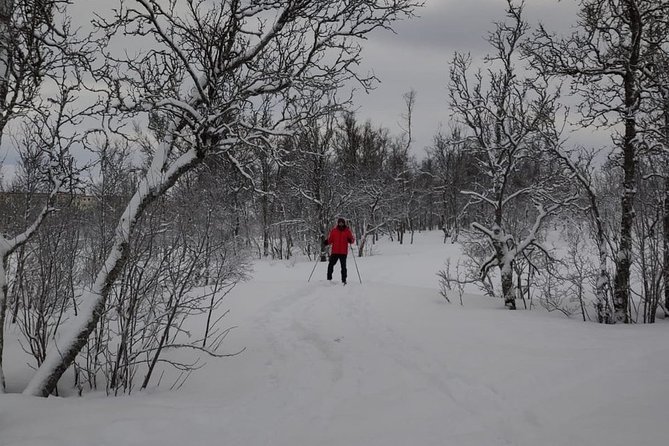 Cross-Country Ski Lesson for Beginners in Tromso - Booking Process and Cancellation Policy