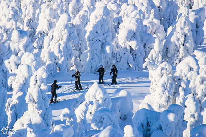 Cross-Country Skiing Trip - Customer Feedback and Reviews