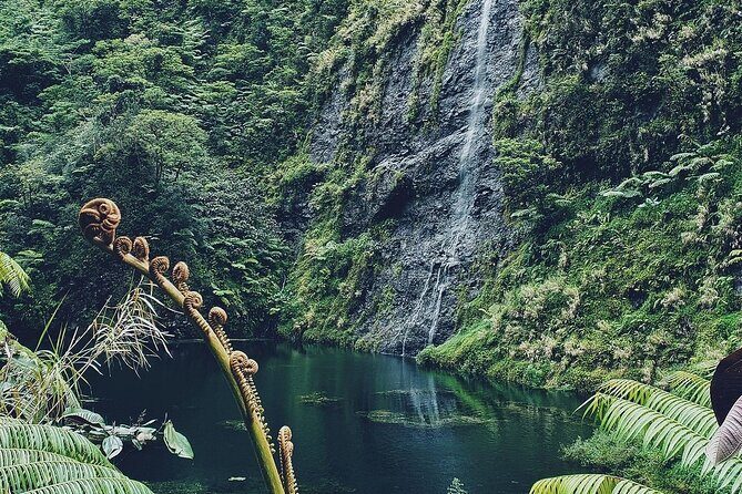 Crossing Over Tahiti Island Safari 4x4 - Authentic Experiences and Traveler Feedback