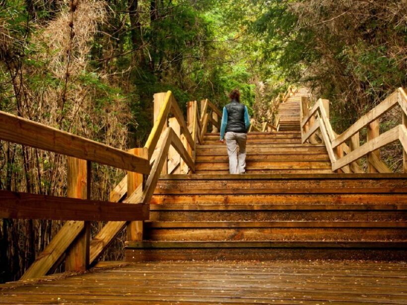 Crossing to Puerto Blest and Cascada de los Cántaros - FAQs