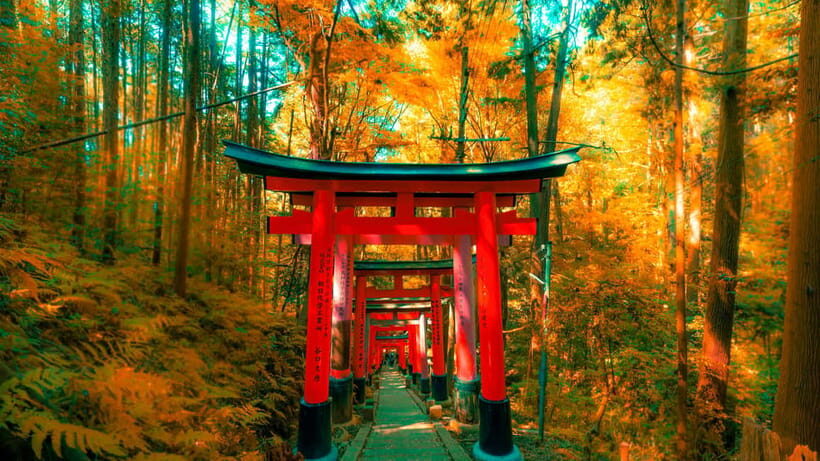 Crowd-Free Kyoto: Fushimi Inari, Nijo Castle & Kinkaku-ji - Key Points