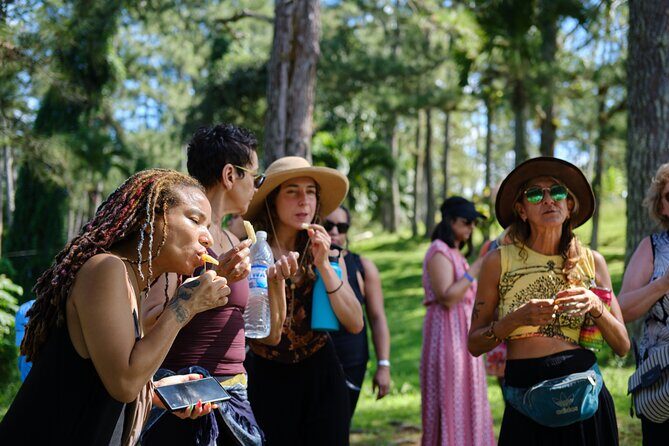 Croydon In The Mountains - Exotic Fruits & Flowers - Final Thoughts