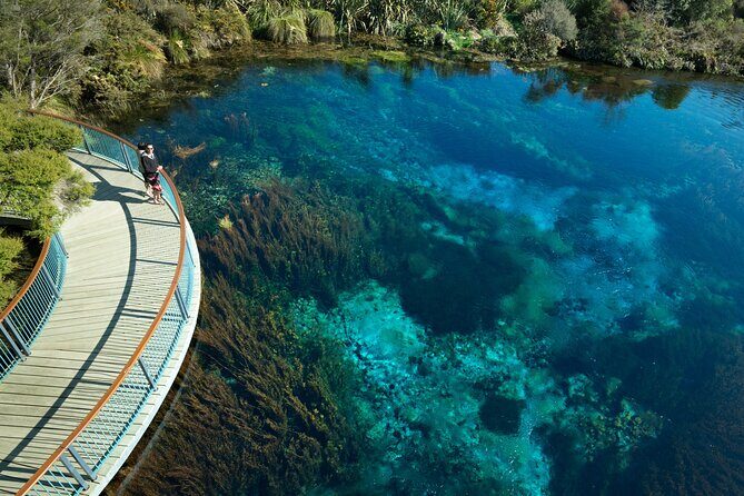 Cruise Abel Tasman to Golden Bay - Discover the Beauty of the Abel Tasman to Golden Bay Cruise