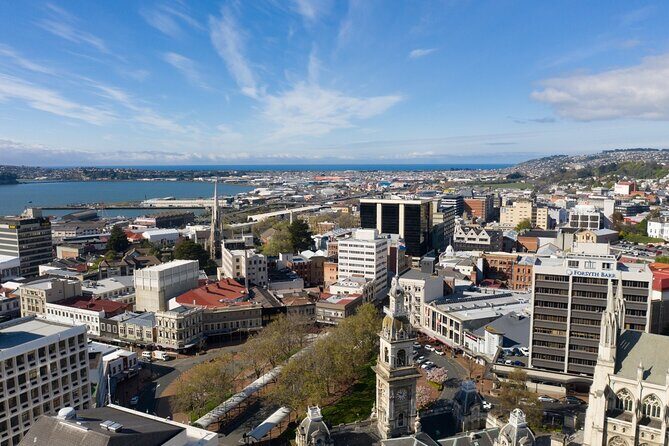 Cruise Dunedin City and Castle Tour - Detailed Breakdown of the Itinerary