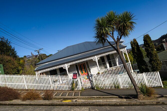 Cruise Dunedin City and Castle Tour - What the Reviews Say