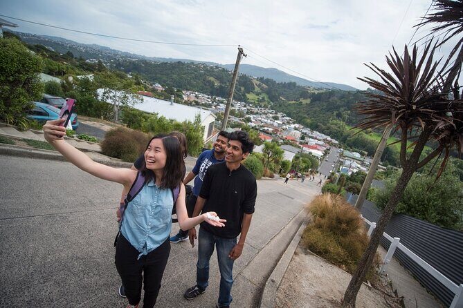 Cruise Dunedin City and Castle Tour - Practical Details & Value