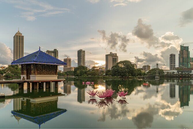 Cruise Excursions Colombo Sri Lanka Half Day Tour Excursion Colombo Sri Lanka - Why Choose This Tour?