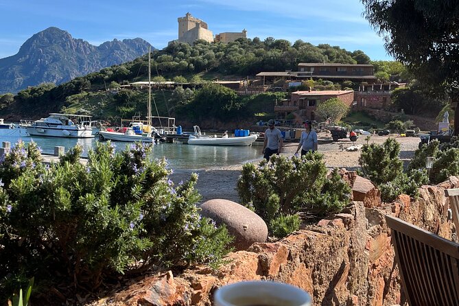 Cruise in a Small Group in Scandola Girolata Calanques De Piana - Meeting Point and Logistics