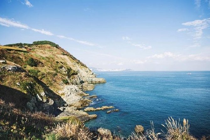 Cruise Layover Busan Highlight Tour with Sea temple and Gamcheon - Conclusions: Who Should Consider This Tour?