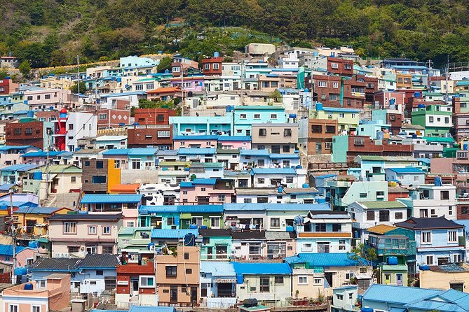 Cruise Layover : Small Group Busan Highlight Day Tour - Final Thoughts: Is It Worth It?