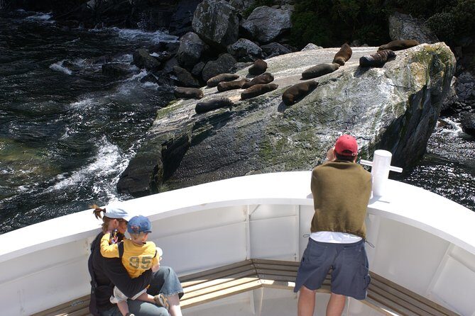 Cruise Milford NZ Small Boutique Cruise Experience - Practical Tips for Your Trip