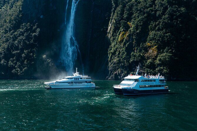 Cruise Milford NZ Small Boutique Cruise Experience - Why Travelers Keep Coming Back