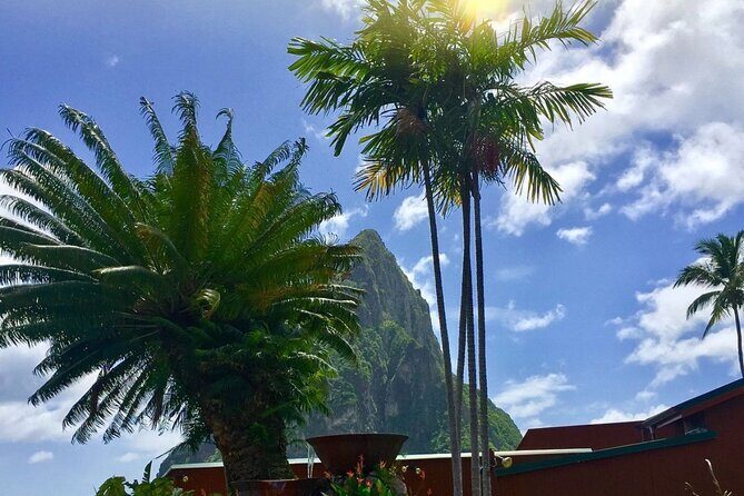 Cruise Port and Airport Arrival Transfers to Hotels in St. Lucia. - Detailed Review of the Experience