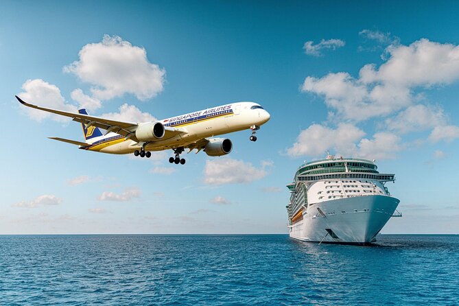 Cruise Port: Transfer to Rome or FCO - Additional Services Offered