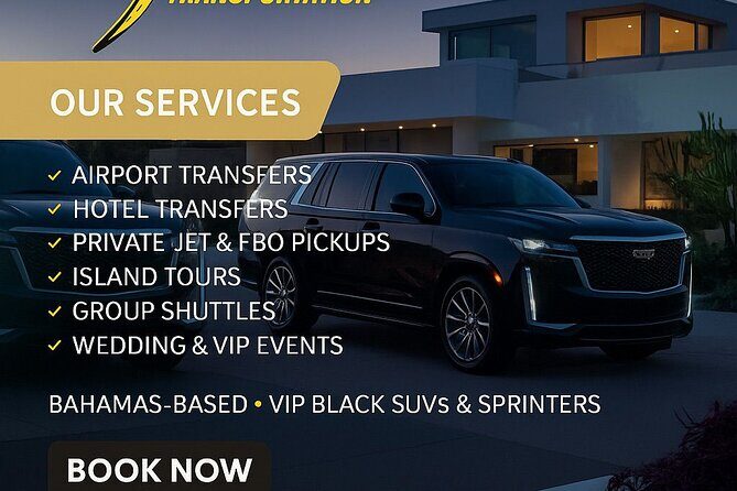 Cruise Port Transfer with Optional Vehicle - Who Should Consider This Service?